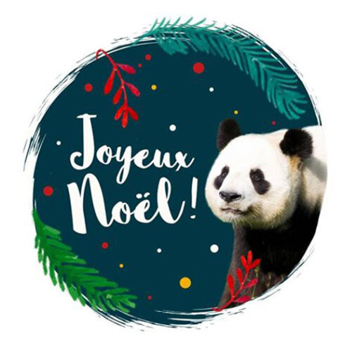 Joyeux Noël ! - Beauval Actus