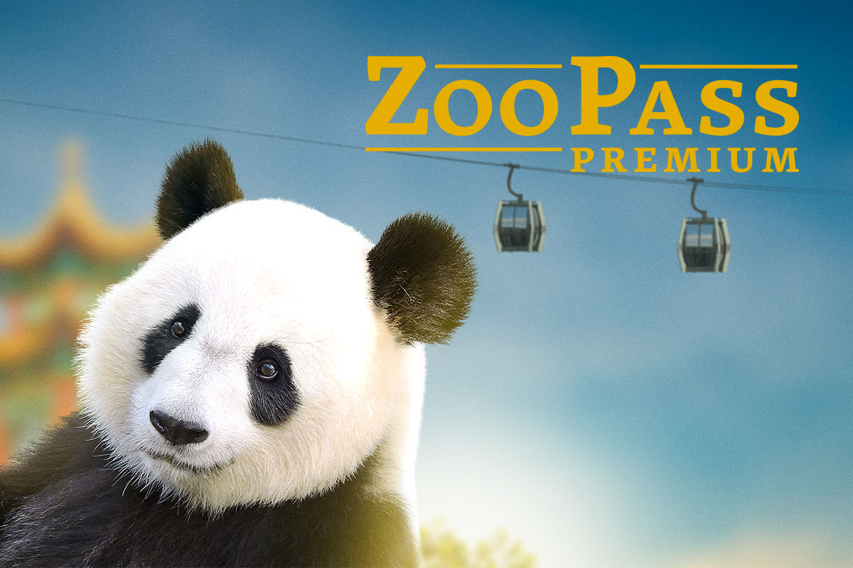Une nouvelle offre privilège : le ZooPass Premium - Beauval Actus