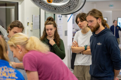 Rodolphe Delord nommé chevalier de la Légion d’Honneur - Beauval Actus