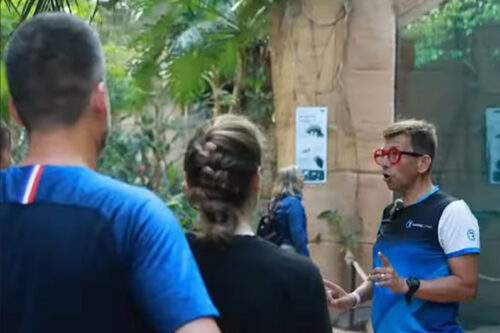 Rodolphe Delord nommé chevalier de la Légion d’Honneur - Beauval Actus